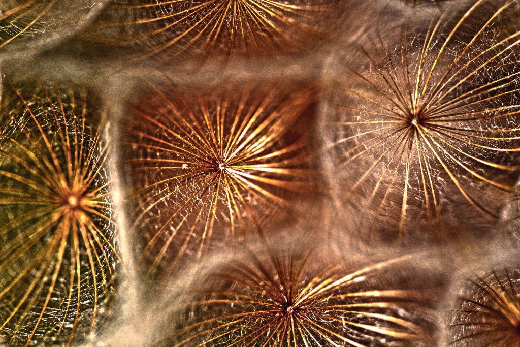 In the early 20th century, scientists developed an alpha particle ...